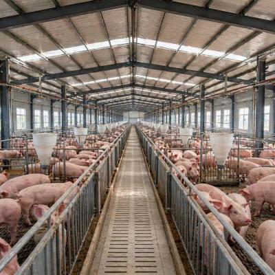China Spacious Modular Chicken Housing Solutions for Happy Hens for sale