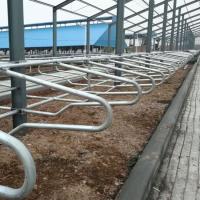 China Spacious Modular Chicken Housing Solutions for Happy Hens for sale