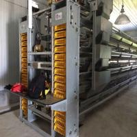 China Customized Structural Steel Framing Chicken House Design for Commercial Layer Cages for sale