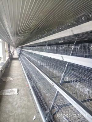 China Sustainable Light Steel Structure Chicken House Tailored for Automated Layer Cages for sale