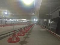 China Efficient Chicken House with Light Steel Structure and 20-Year Guarantee for sale
