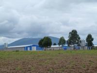 China Professional Structural Steel Chicken House Built for Advanced Automatic Cage Housing for sale