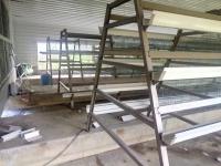 China Eco Friendly Steel Structure Chicken House Configured with Tiered Layer Cages for sale