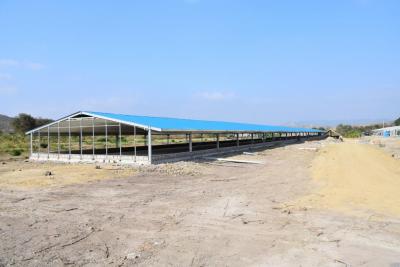 China Durable Galvanized Steel Structure Chicken House for Intelligent Automated Poultry Cages for sale