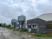 China Custom Made Steel Structure Chicken House Supporting Automatic Floor Pan Feeders for sale