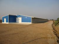 China Weather Resistant Steel Structure Chicken House for Standard Floor Raising Operations for sale