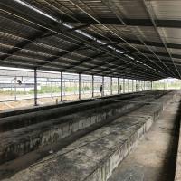 China Modern Prefabricated Steel Structure Chicken House for Dynamic Floor Raising Farm for sale