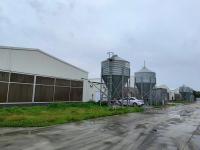 China High Efficiency Steel Structure Chicken House Tailored for Broiler Floor System for sale