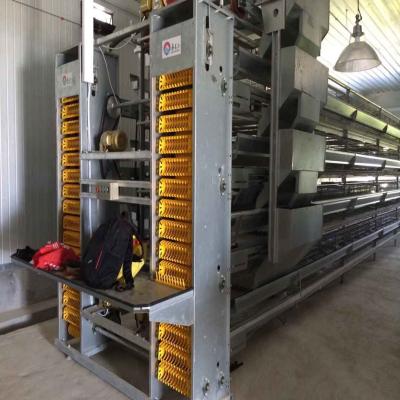 China Industrial Prefab Steel Structure Chicken House Built for Poultry Floor Raising for sale