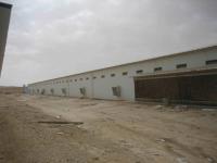 China Industrial Prefab Steel Structure Chicken House Built for Poultry Floor Raising for sale