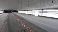 China Thermal Insulated Steel Structure Chicken House Featuring Advanced Ventilation Cooling Pads for sale