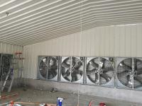 China Prefab Steel Structure Chicken House with Climate Control for Floor Raising for sale