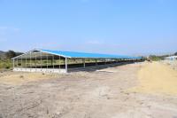 China Prefab Steel Structure Chicken House with Climate Control for Floor Raising for sale