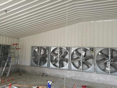 China Energy Efficient Steel Structure Chicken House Equipped with Tunnel Ventilation System for sale