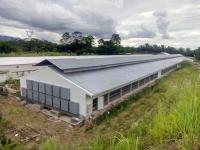 China Energy Efficient Steel Structure Chicken House Equipped with Tunnel Ventilation System for sale