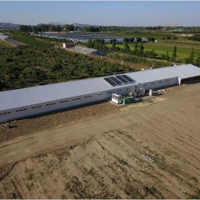 China Top-Quality Prefab Chicken House Steel Structure Prefabricated Steel Structure for sale