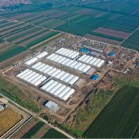 China Top-Quality Prefab Chicken House Steel Structure Prefabricated Steel Structure for sale