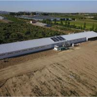 China Affordable Prefabricated Steel Chicken House Design for Farms for sale