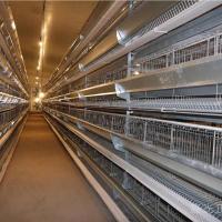 China Affordable Prefabricated Steel Chicken House Design for Farms for sale