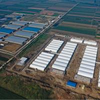 China Affordable Prefabricated Steel Chicken House Design for Farms for sale