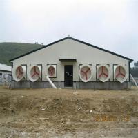 China Eco-Friendly Modern Steel Chicken Coop for Backyard Farming for sale