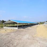 China Automatic Prefabricated Steel Structure Poultry Chicken House for Large Scale Farming for sale