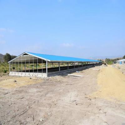 China Automatic Prefabricated Steel Structure Poultry Chicken House for Large Scale Farming for sale