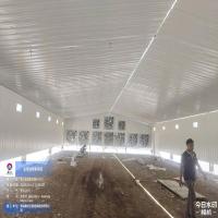 China Versatile Cage Layer Chicken House with Expert Design Service for Sale for sale