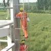 China Industrial Steel Structure Mineral Water Plant Featuring Local Composite Panels for Africa for sale