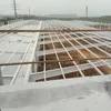 China Industrial Steel Structure Mineral Water Plant Featuring Local Composite Panels for Africa for sale