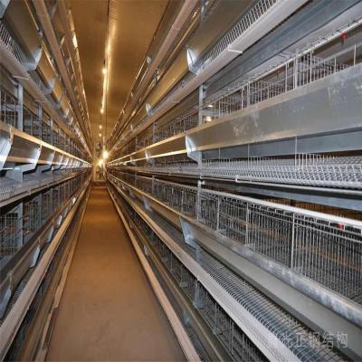 China Automatic Light Steel Structure Poultry House for Chickens for sale