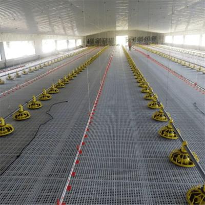 China Durable Weatherproof Steel Structure Poultry House for Chickens with Automation for sale