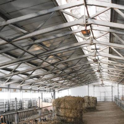 China Fast Installation Steel Hog Farm Buildings with Custom Layout Options Available for sale