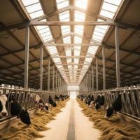 China Steel Structure Slaughterhouse Buildings for Modern Meat Processing and Production Facilities for sale