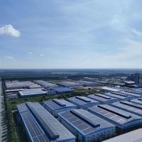 China Modern Steel Hog Farm Buildings Designed for Healthy Animal Growth Conditions for sale