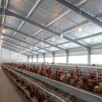 China Modern Chicken Coop with Durable Light Steel Framework for sale