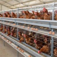 China High-Quality Chicken House with Light Steel Roof and ISO Certification for sale