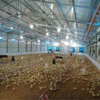 China Premium ISO Certified Chicken Coop with Sturdy Steel Roof for sale