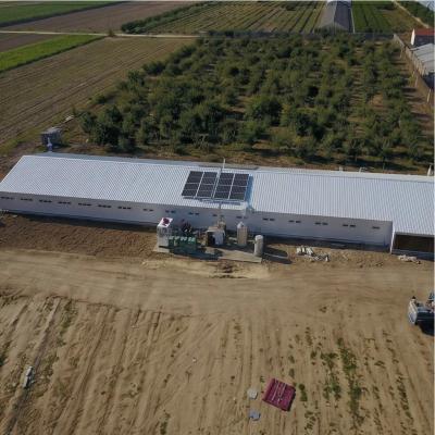 China Premium Chicken Coop with 20-Year Warranty and Weather-Resistant Steel Roof for sale
