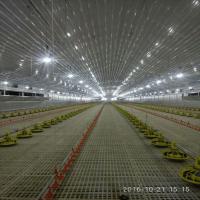 China Quality Chicken House with Light Steel Roof and 20-Year Warranty for sale