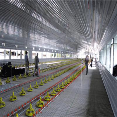China Contemporary Chicken Shed with Light Steel Roof and Wall Structure for sale