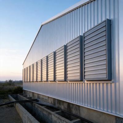 China Spacious Chicken House with Light Steel Roof and CE Certification for sale