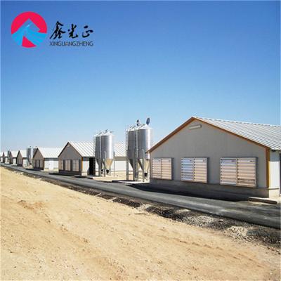 China Premium Steel-Roof Chicken Coop with Extended Warranty Options for sale