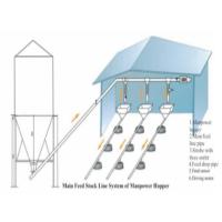 China Durable and Affordable Steel Frame for Poultry Farming for sale