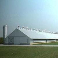China Durable and Affordable Steel Frame for Poultry Farming for sale