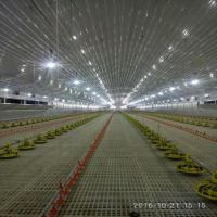 China Durable and Affordable Steel Frame for Poultry Farming for sale