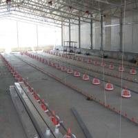China Premium Poultry House with Sturdy Steel Roof and CE Mark for sale