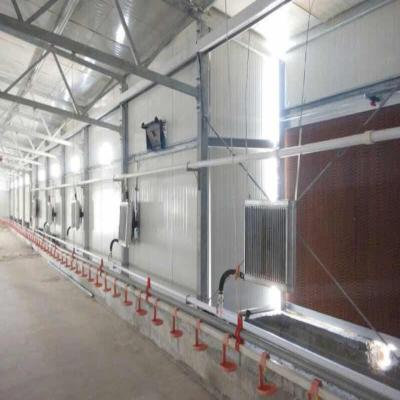 China All-Weather Poultry House with Durable Steel Roof Design for sale