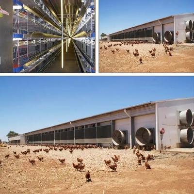 China Sturdy Poultry House with Lightweight Steel Roof for Durability for sale