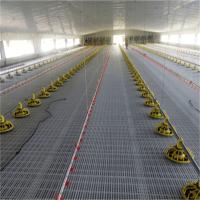 China Sturdy Poultry House with Lightweight Steel Roof for Durability for sale